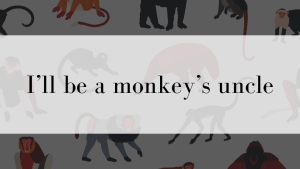 「I’ll be a monkey’s uncle」ってどういう意味？猿の叔父になる？！ – 驚き、信じられない | 福岡市天神｜ケンジントン英会話